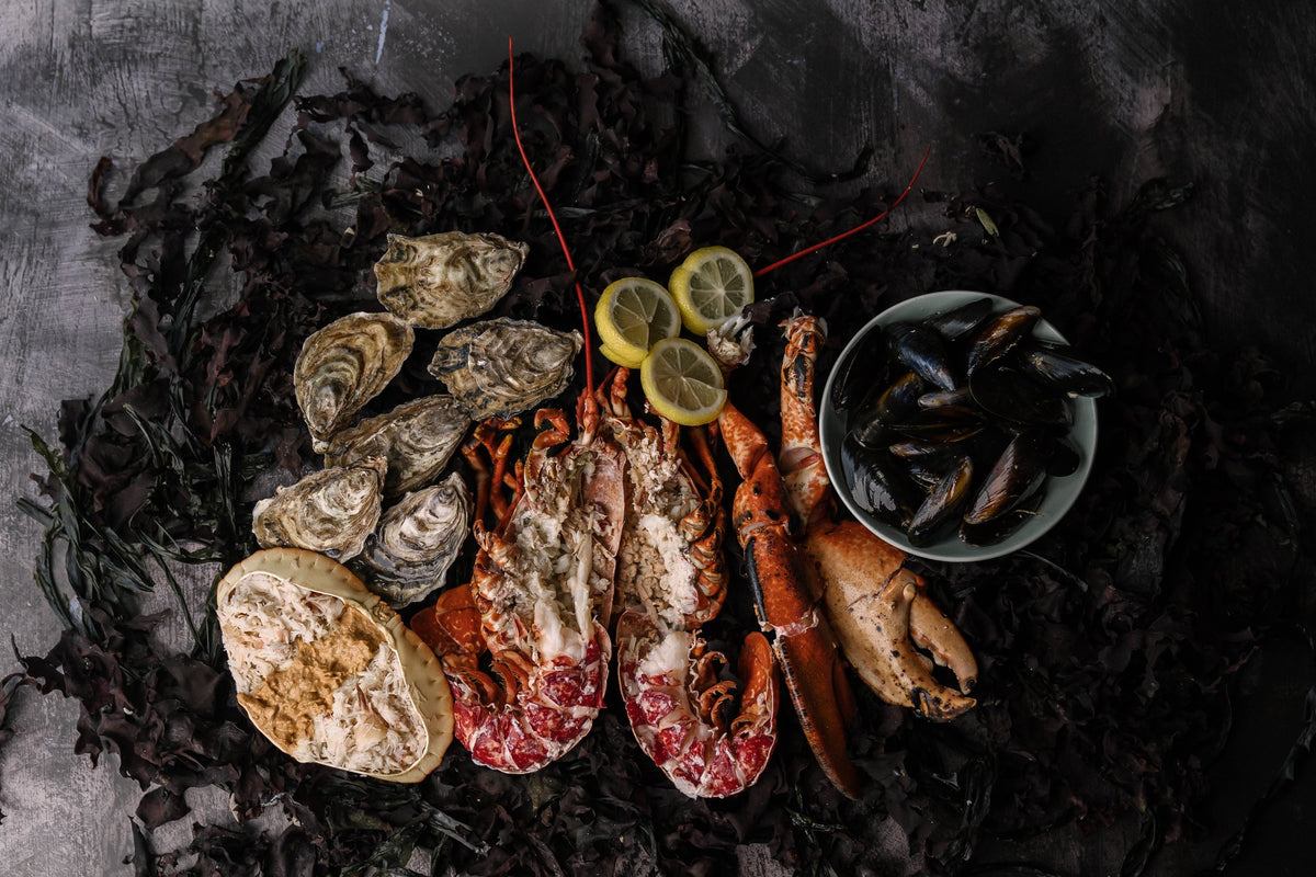 Luxury Shellfish Box – The Pembrokeshire Beach Food Company
