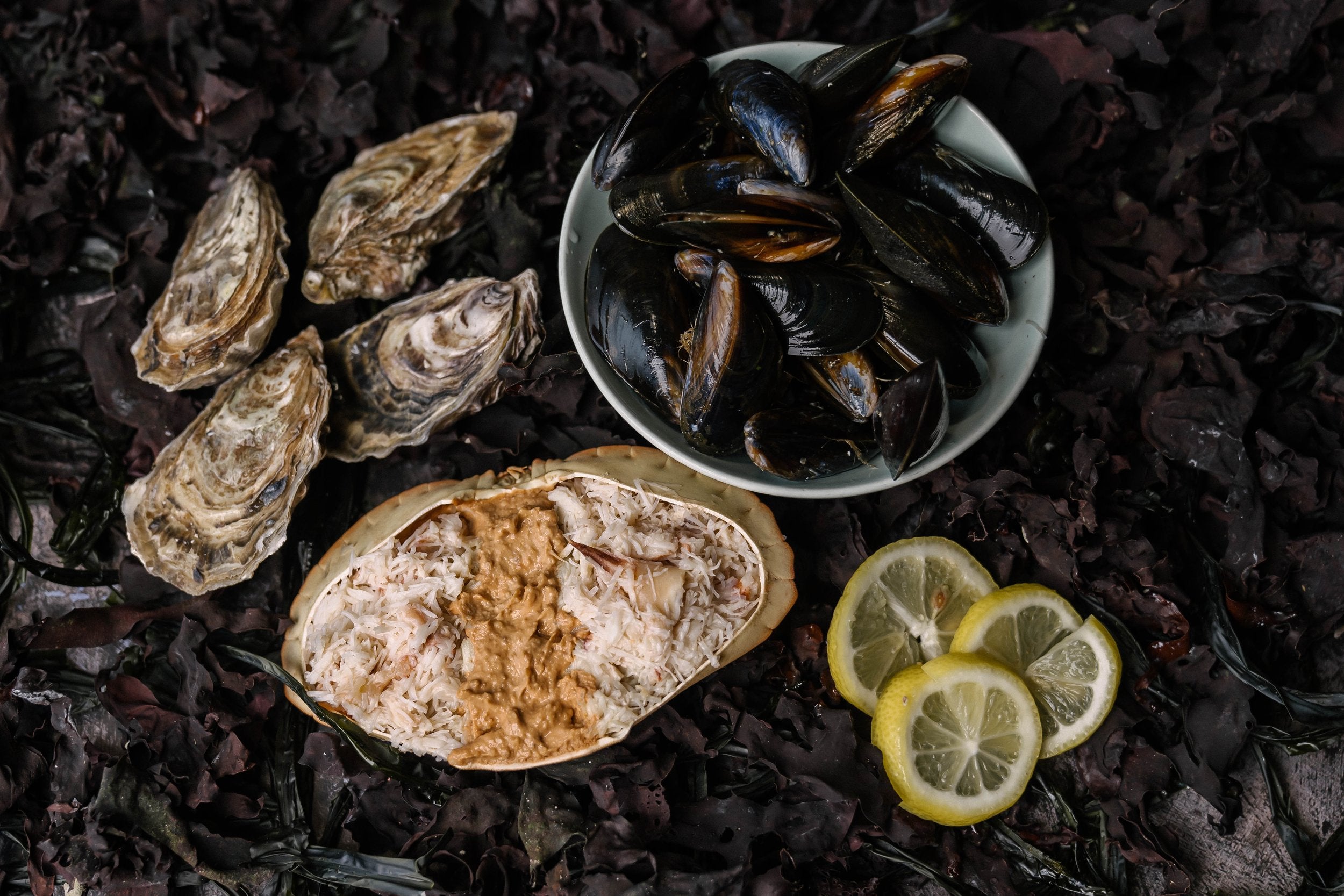 Taster Shellfish Box – The Pembrokeshire Beach Food Company