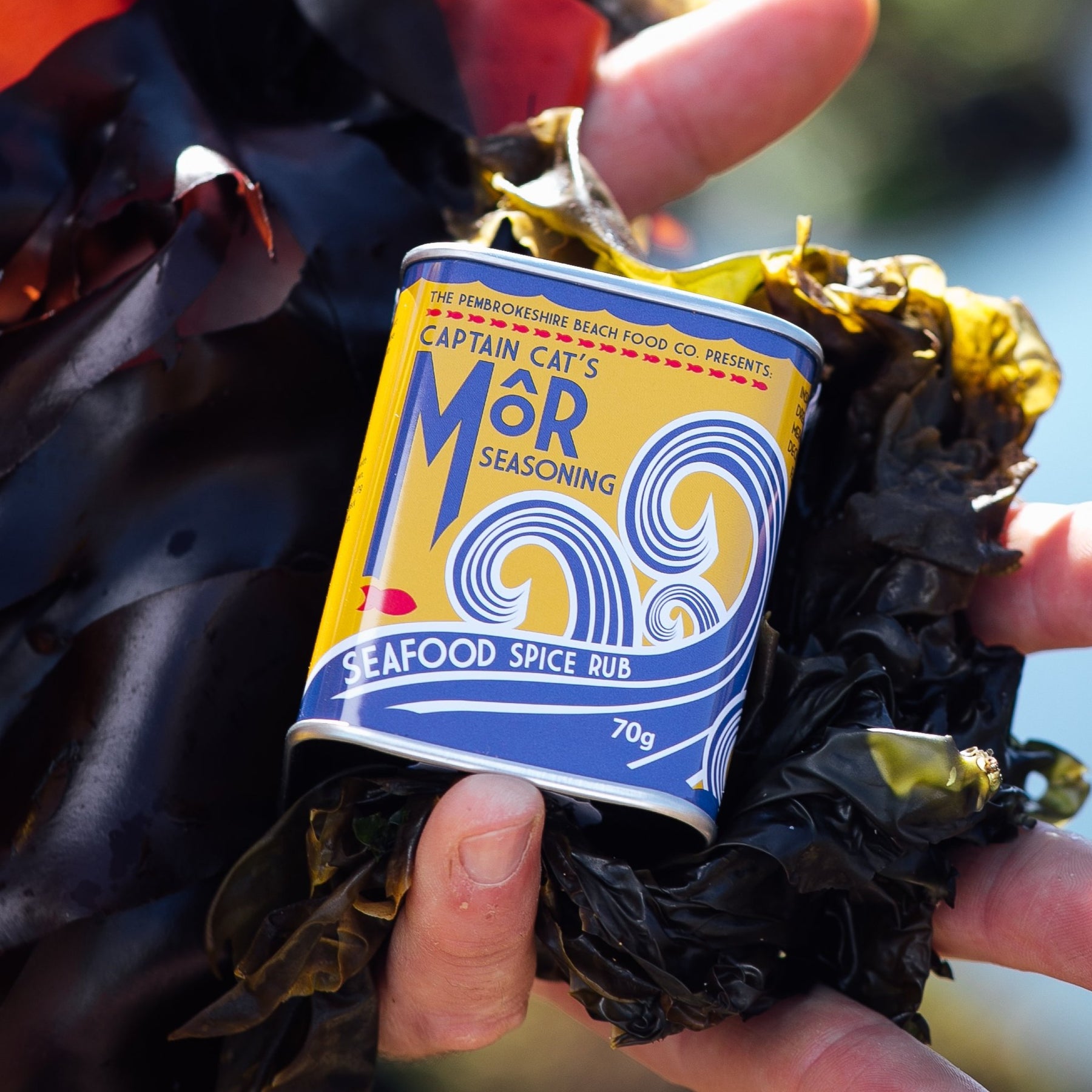 The Pembrokeshire Beach Food Company - Seaweed & Laverbread