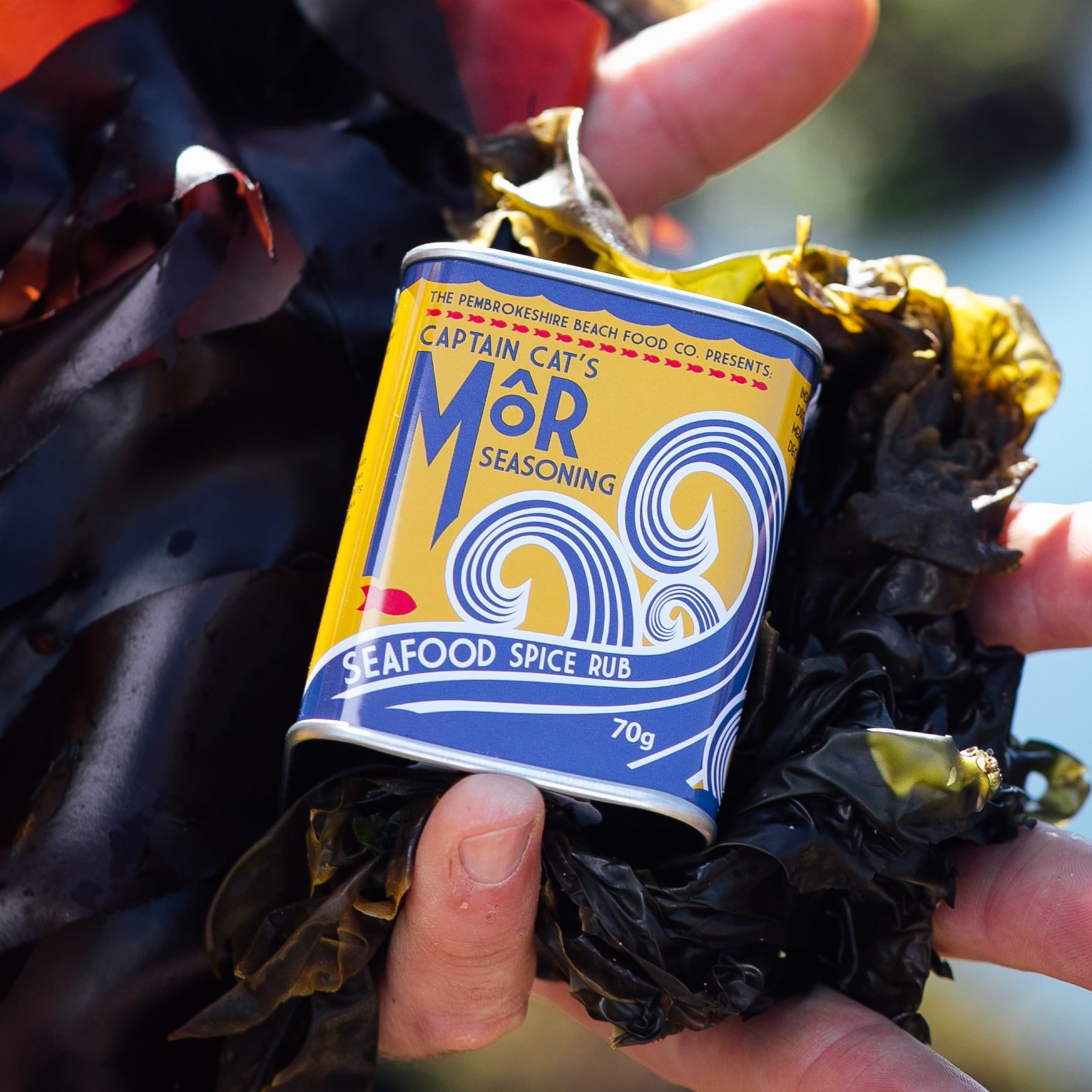 The Pembrokeshire Beach Food Company - Seaweed & Laverbread